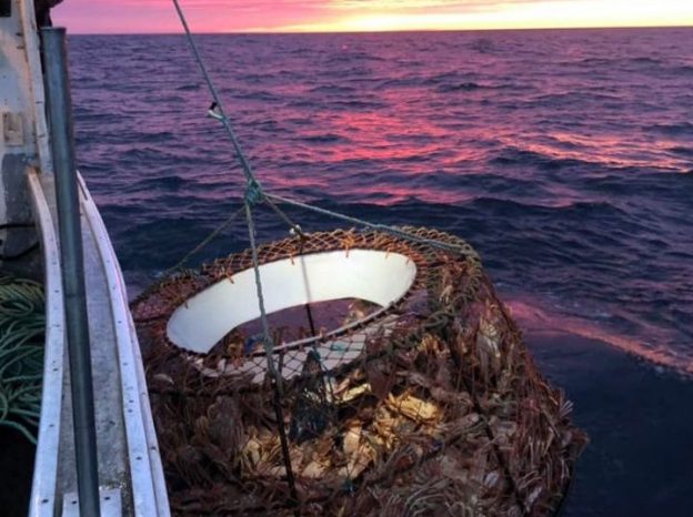 Seafood Sourcing, Raw Materials, Processing | Great Northern Products